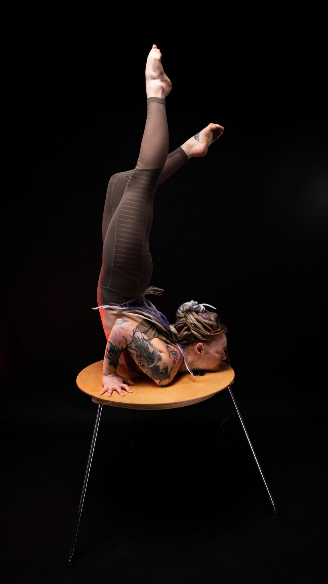 Triple Circus Canes Buy Online